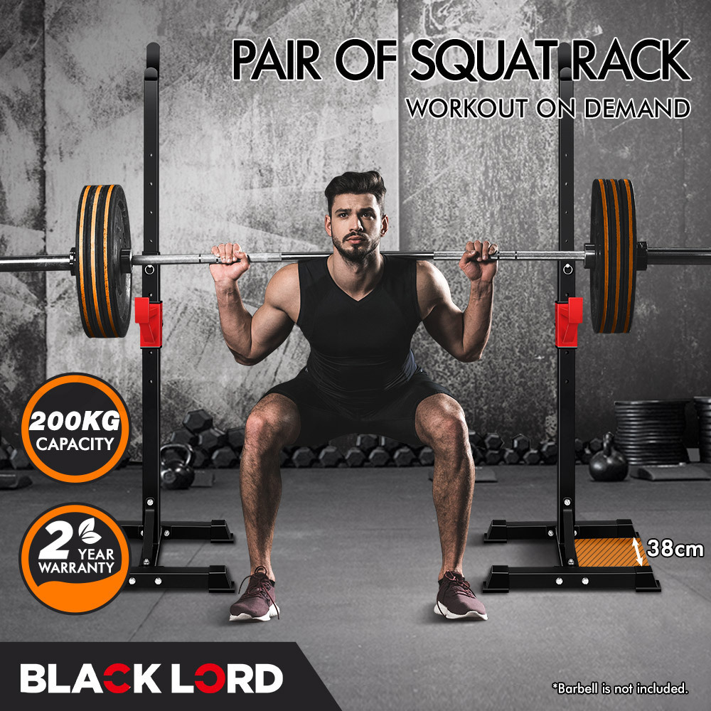 BLACK LORD Weight Bench Power Tower Squat Rack Sit-up Multi-Station ...